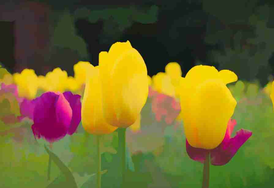 Episode 4: Writing as Storytelling Art – Harmony In Art